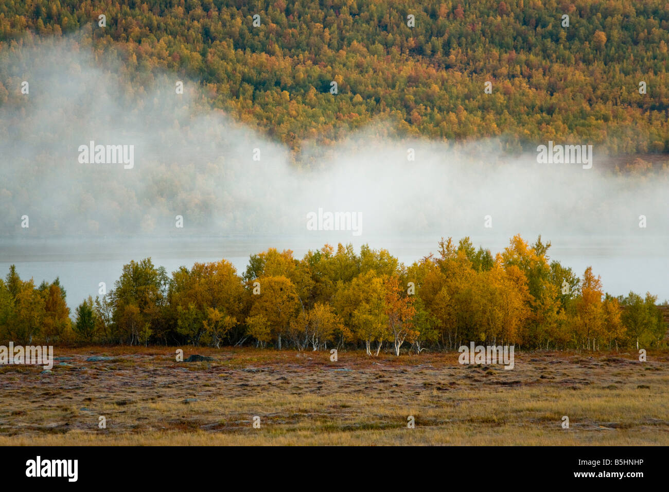 Misk rising from abiskojaure lake in morning autumn morning Stock Photo ...