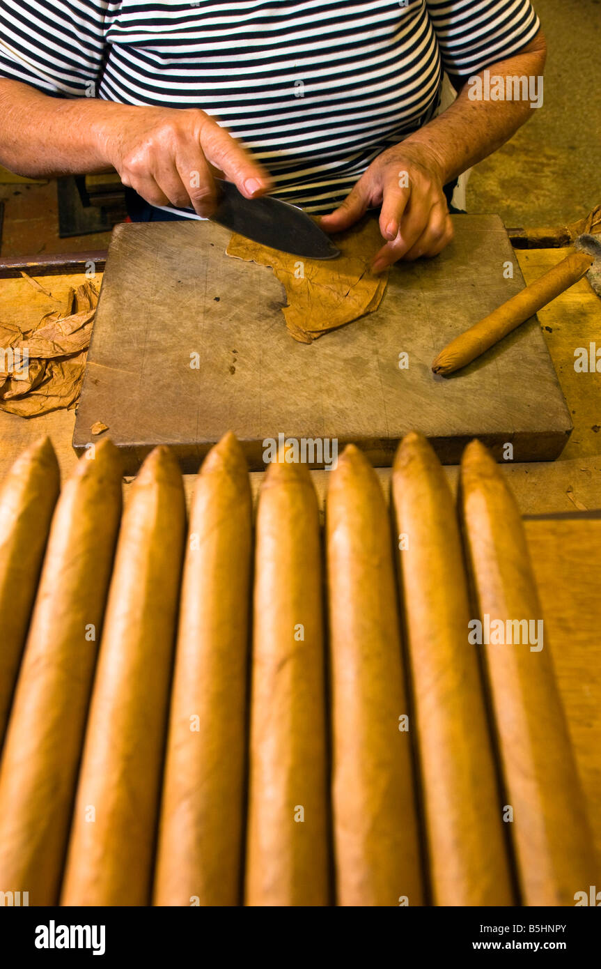 United States Of America Florida Miami district of Little Havana cigar ...