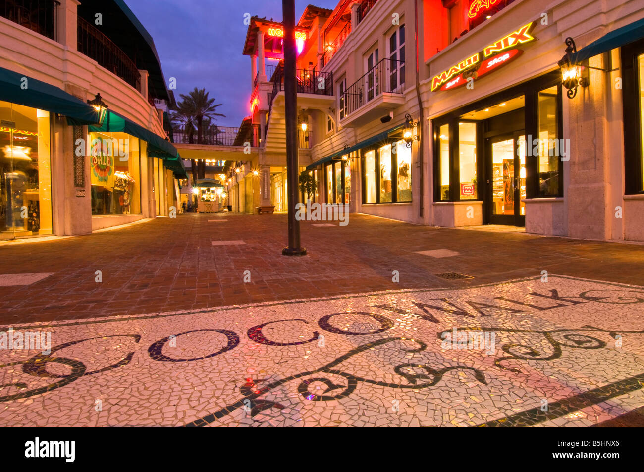 Coconut grove hi-res stock photography and images - Alamy