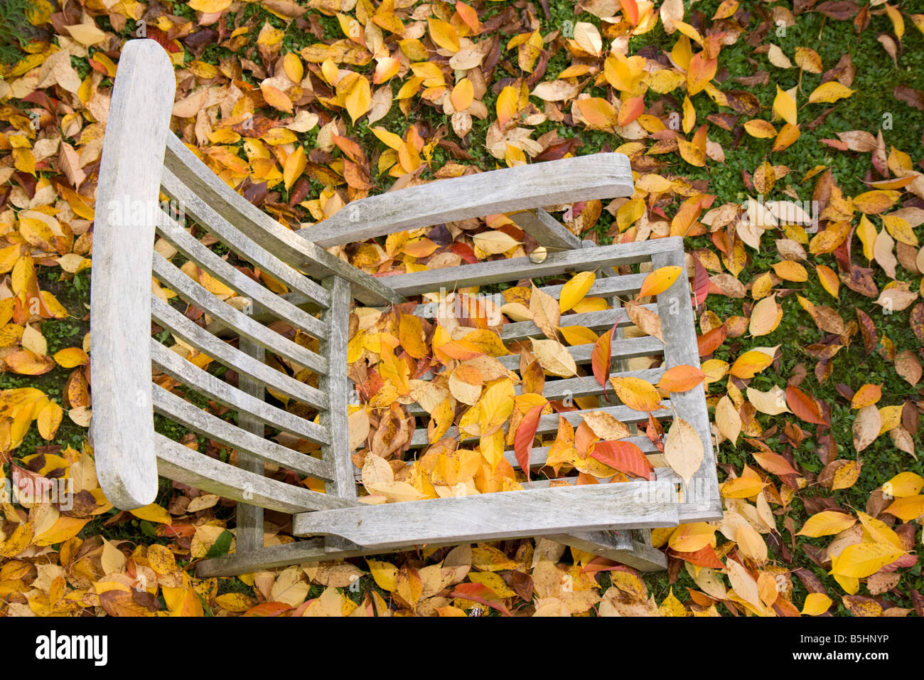 Rotten wooden chair and furniture hi-res stock photography and images ...