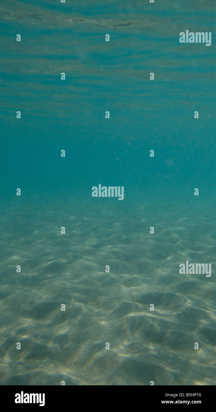 blue water in shallow sandy seabed Stock Photo - Alamy