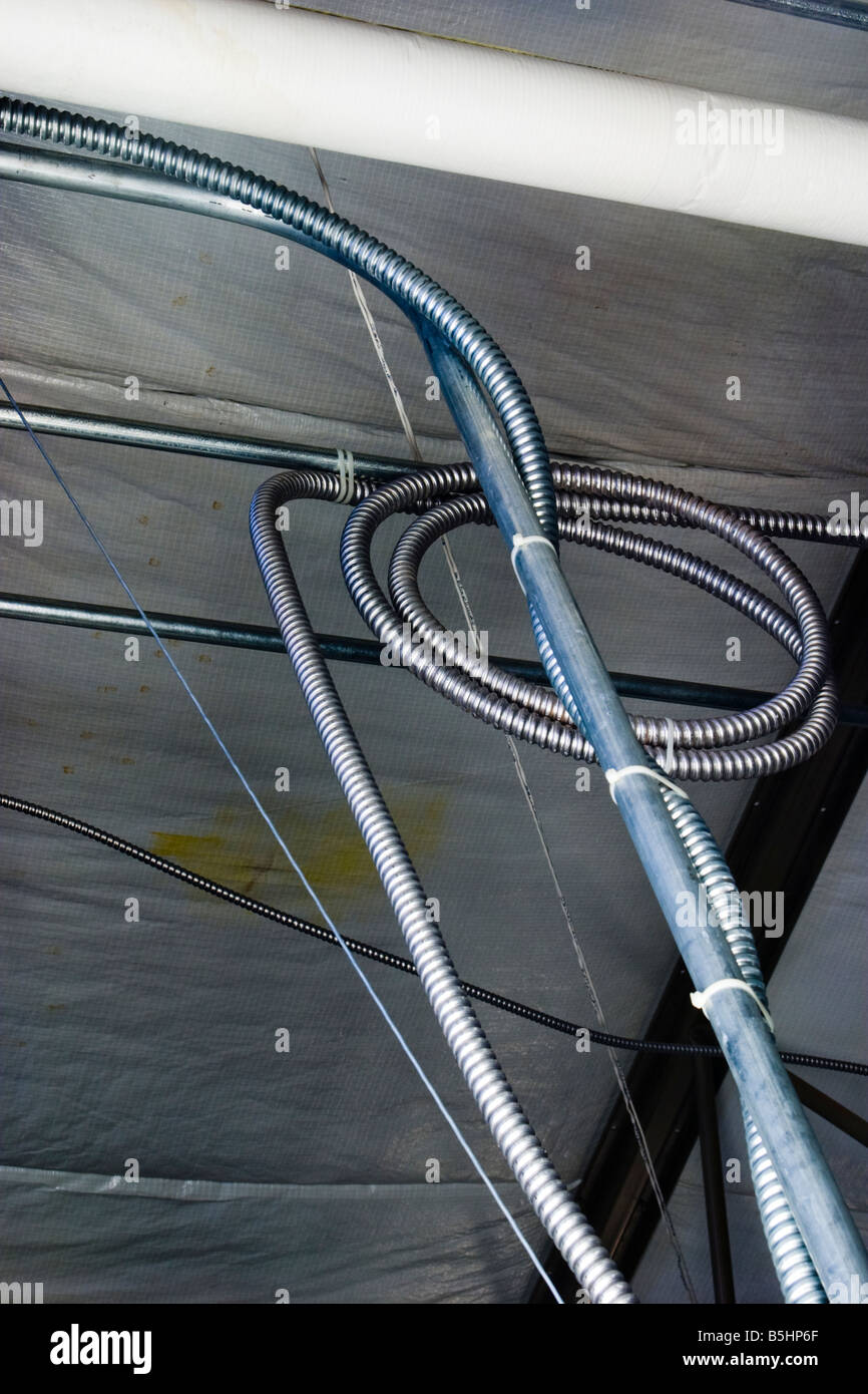 Electrical cables in a factory s ceiling LOCATION RELEASED Stock Photo ...