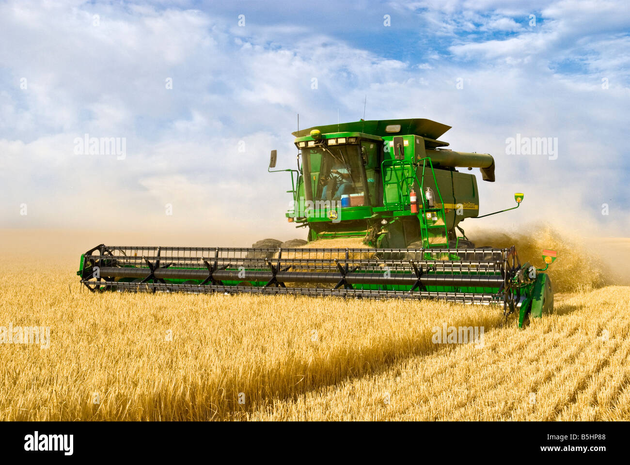 Combine harvester harvests barley hi-res stock photography and images ...