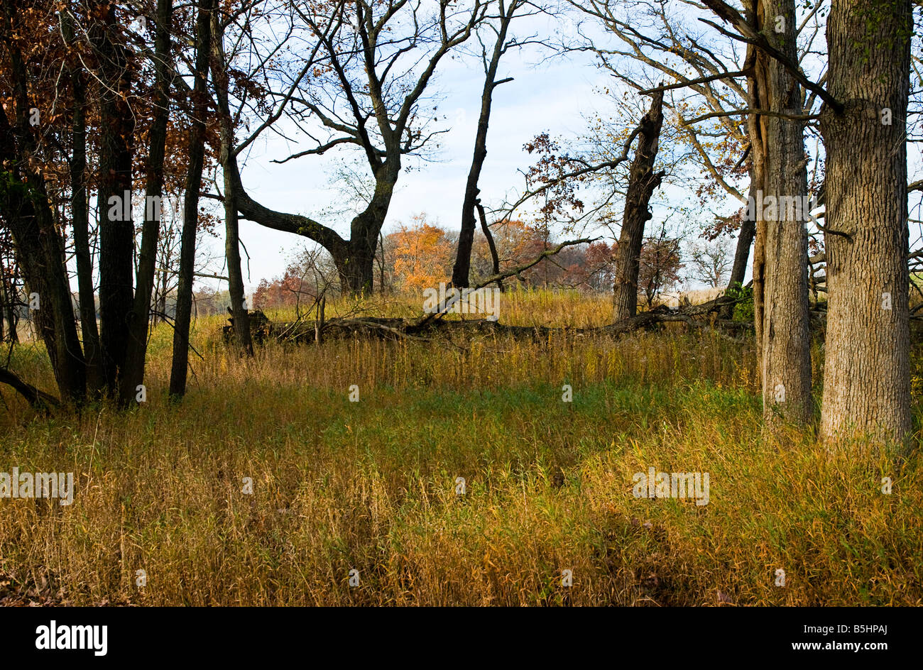 Illinois state park hi-res stock photography and images - Alamy