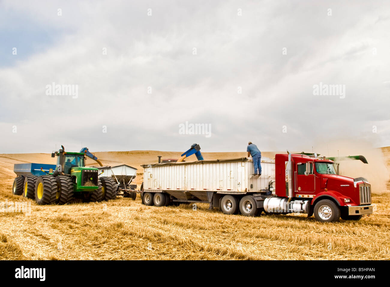 Grain carts empty their loads of grain into a waiting truck in the ...