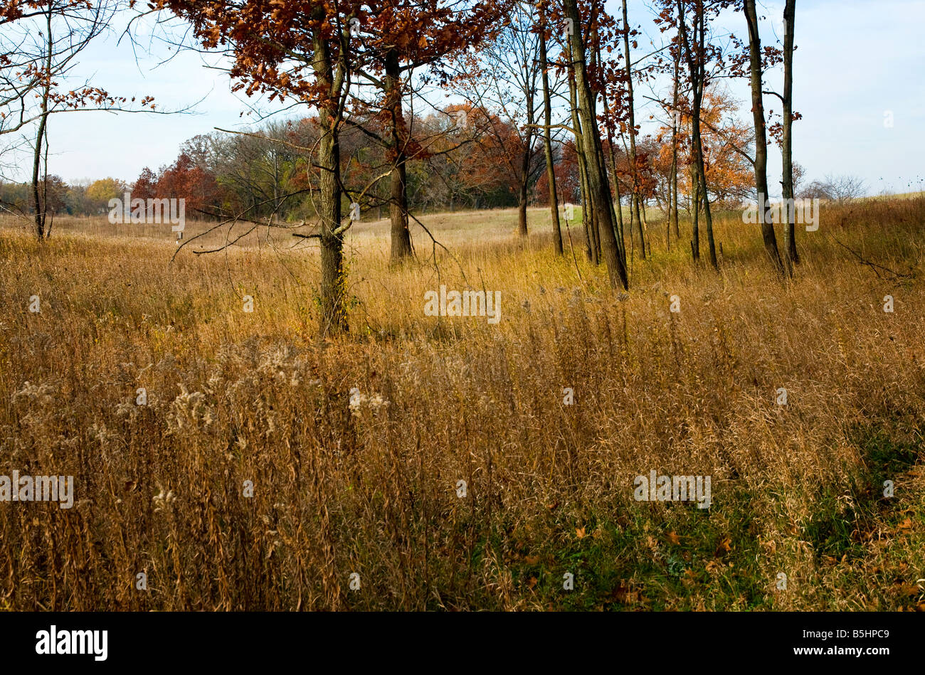 Illinois state park hi-res stock photography and images - Alamy
