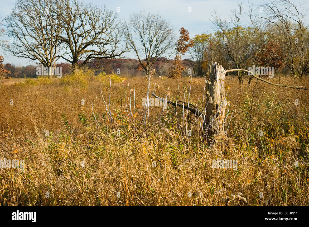 Illinois state park hi-res stock photography and images - Alamy