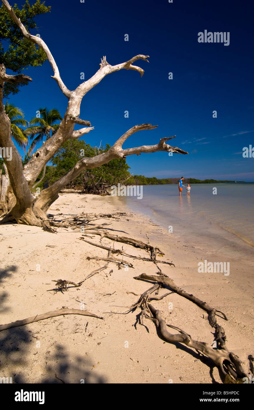 United States Of America Florida Florida Keys Long Key State Park beach ...