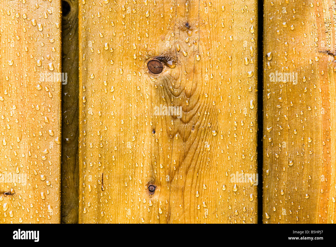close up detail of a wooden cedar fence covered with water droplets ...