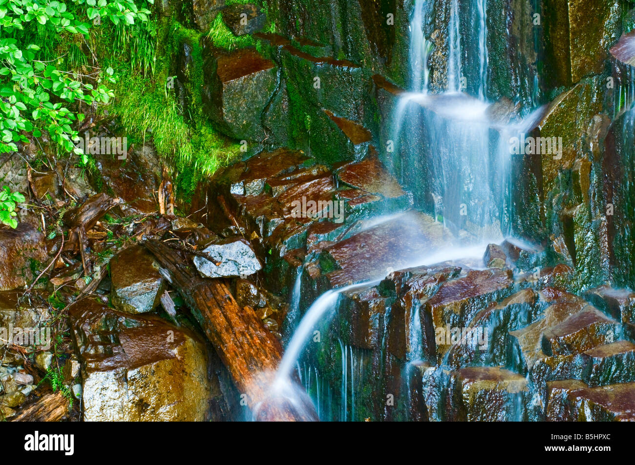 A small waterfall over rocks from a stream in Mount Rainier National ...