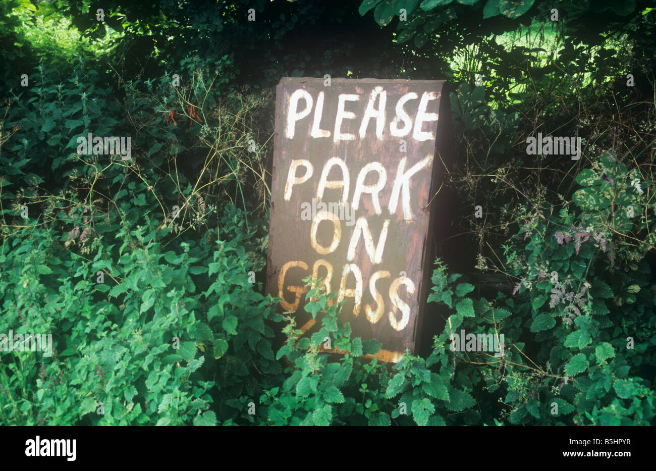 Poorly painted rusted sign surrounded by nettles and foliage stating ...