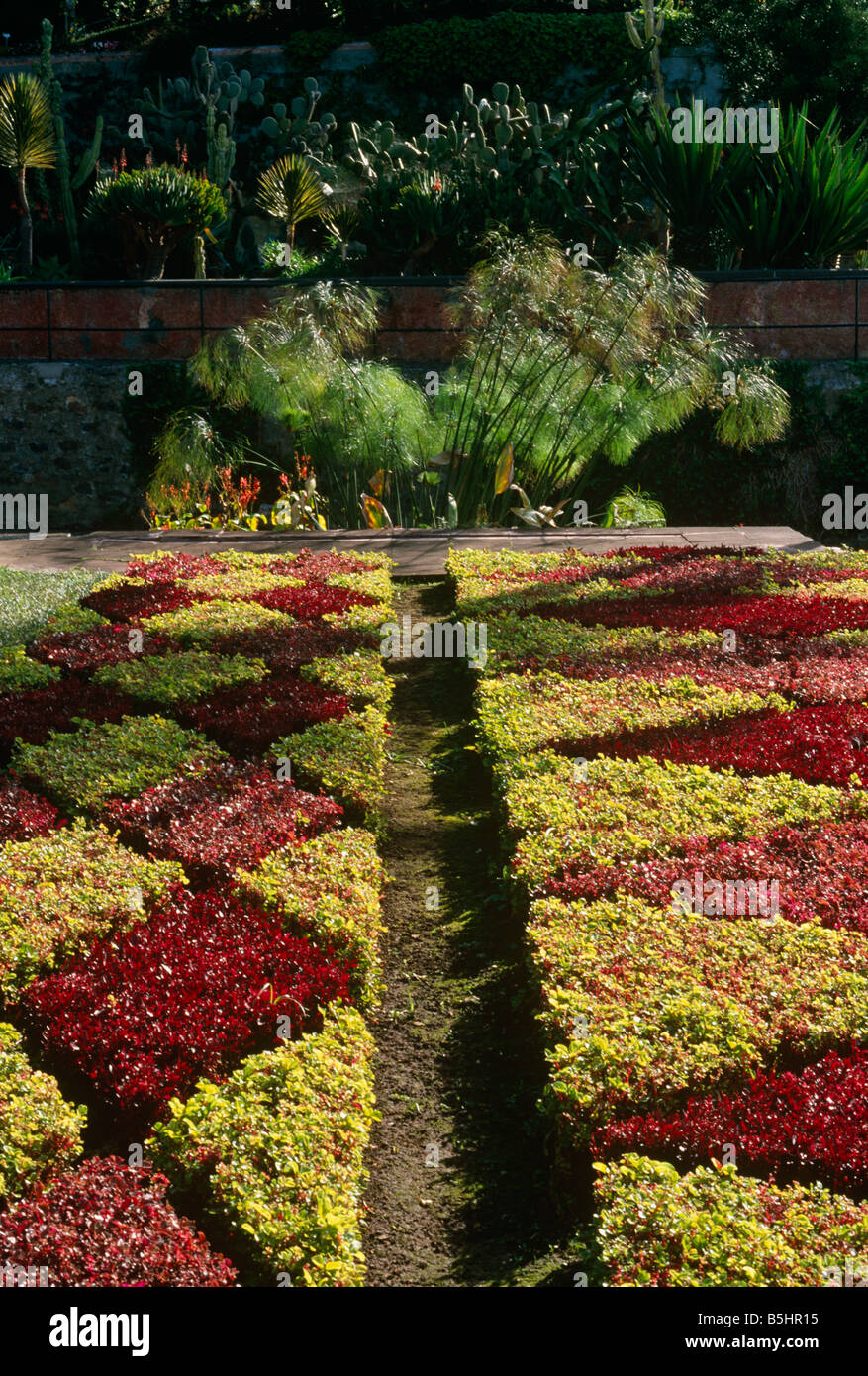 Parterre, Botanic Garden of Madeira Stock Photo - Alamy
