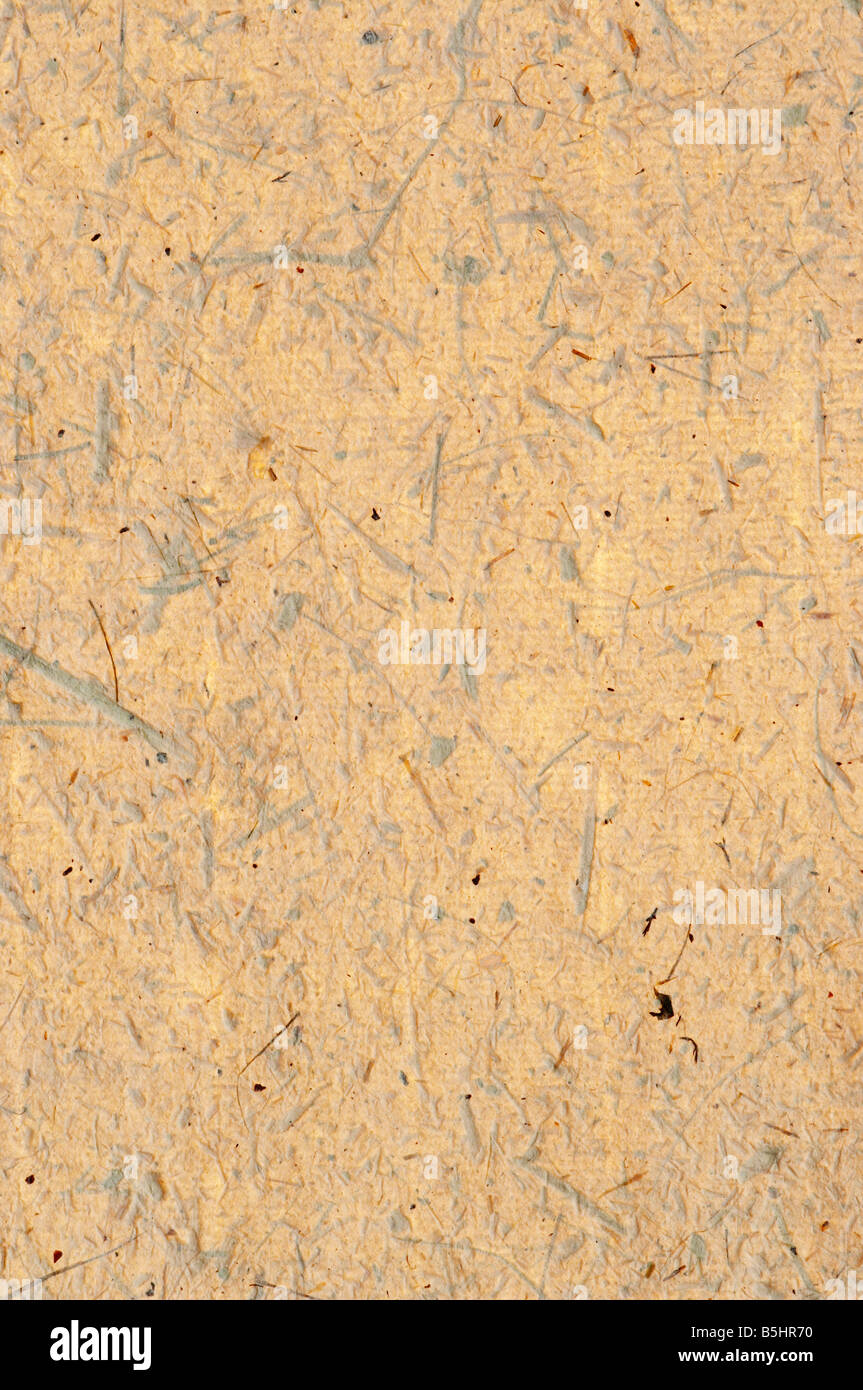 rough surface of the handmade paper with remains of plants - natural ...