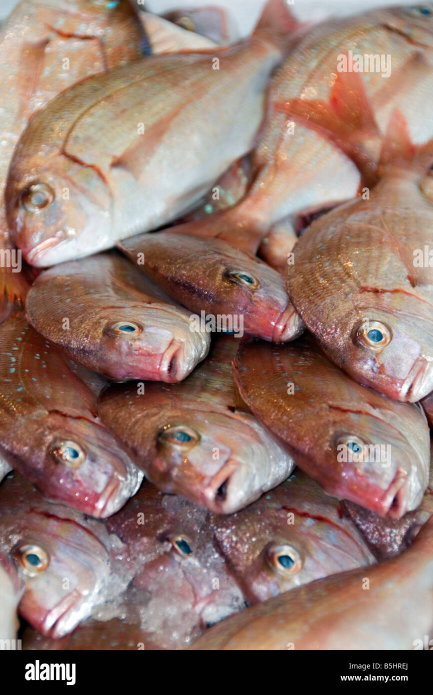 Fish on sale at Tsukiju Fish Market Tokyo Japan Stock Photo - Alamy