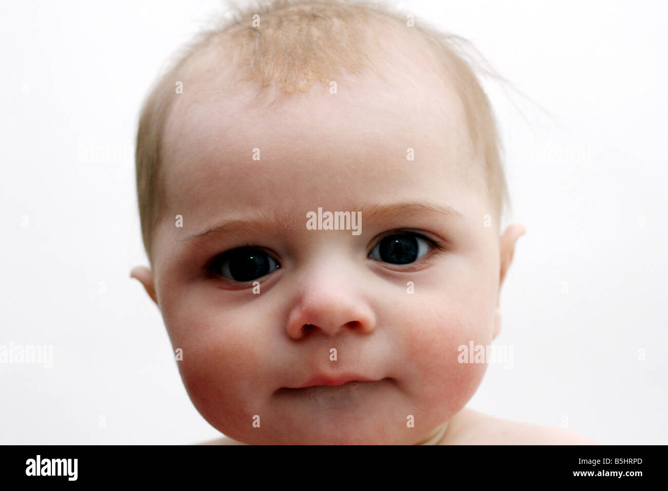 CUTE BABY BOY SMILING CURIOUSLY AT CAMERA Stock Photo - Alamy