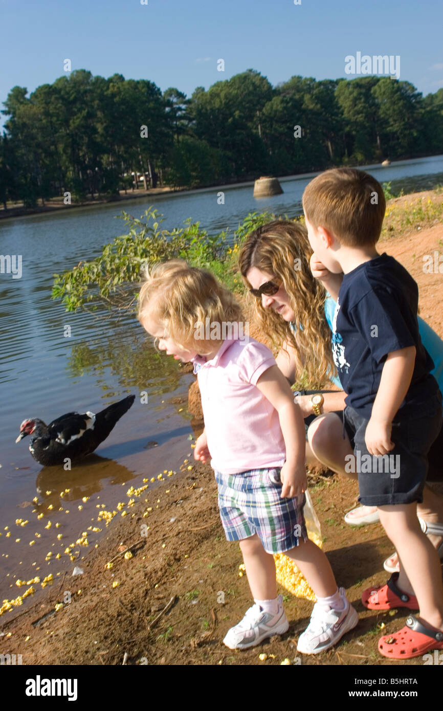 Children feeding the ducks hi-res stock photography and images - Alamy