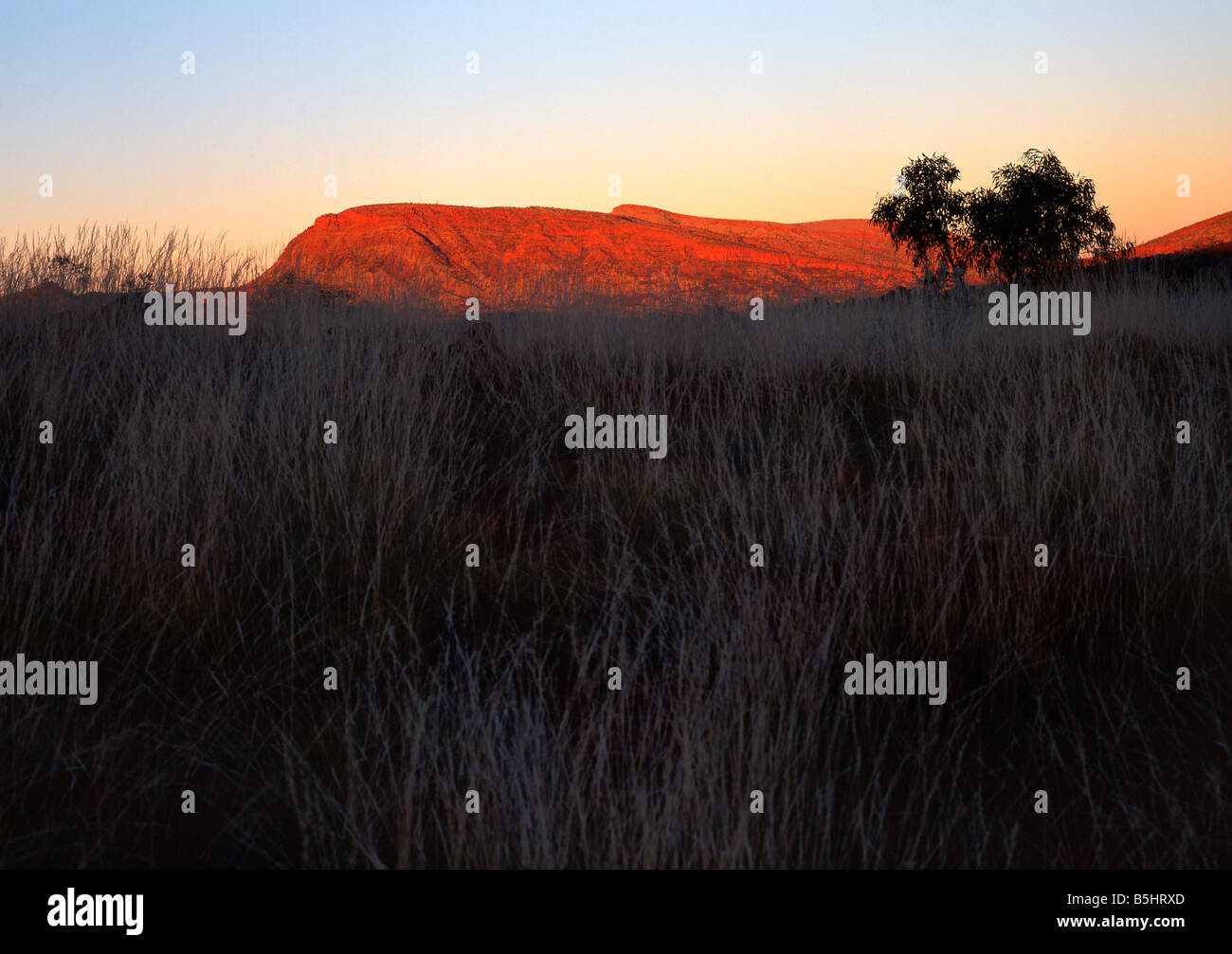 Mount Nameless in morning sun, Pilbara, Northwest Australia Stock Photo ...