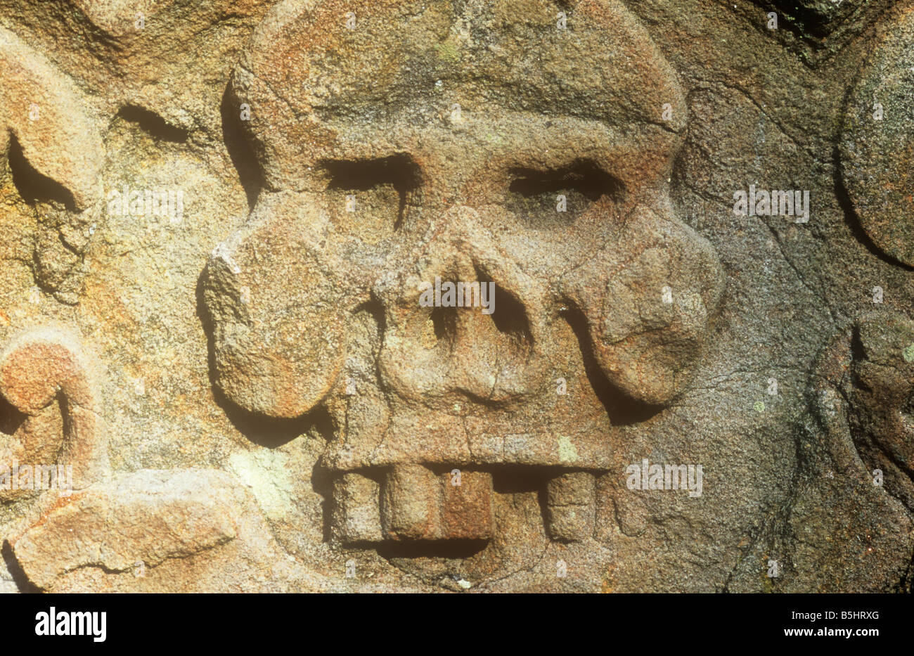 Human corpse decaying hi-res stock photography and images - Alamy