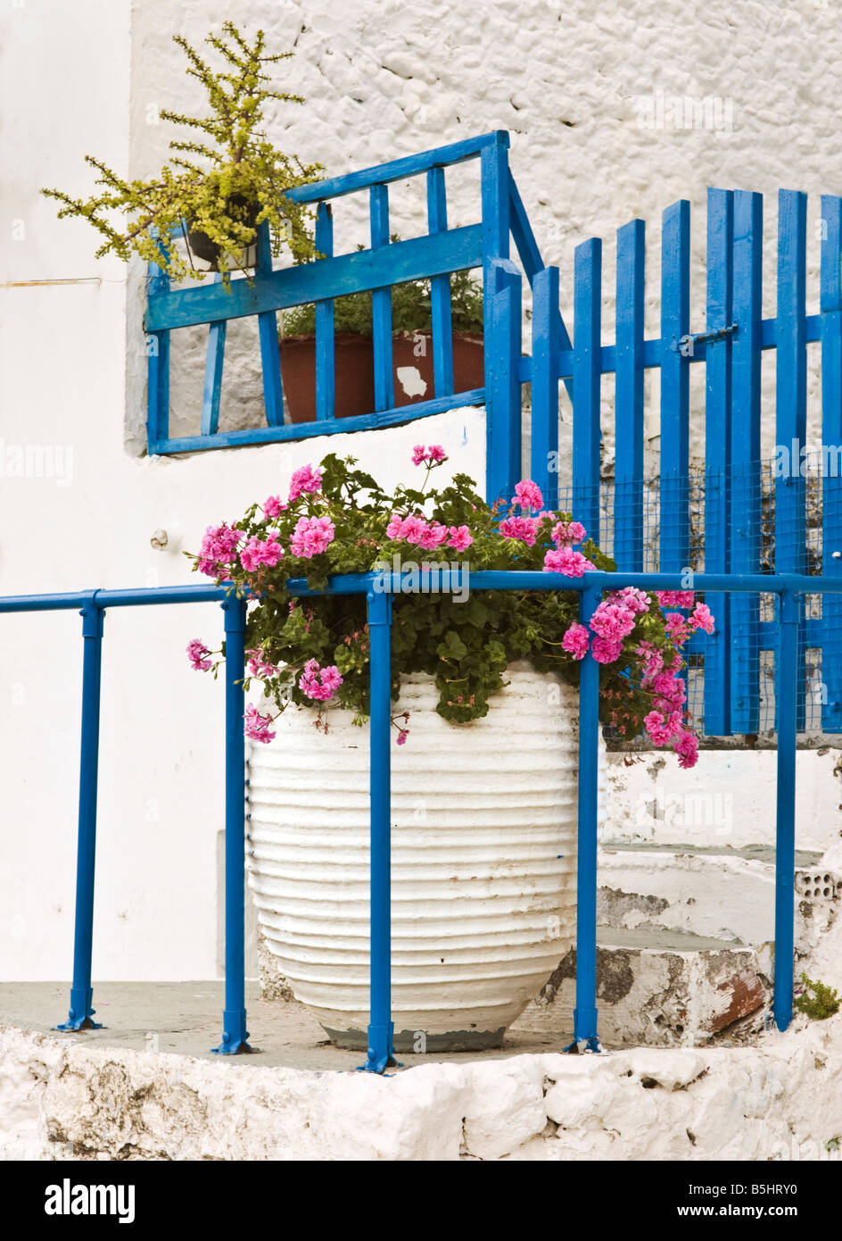 Cithera hi-res stock photography and images - Alamy