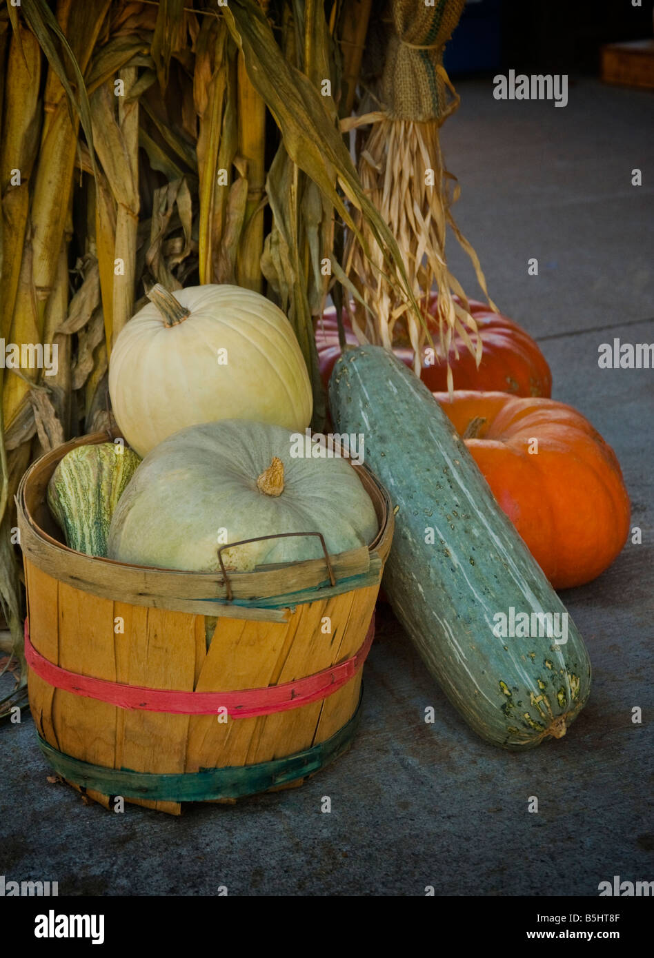 Marrow squash and pumpkin hi-res stock photography and images - Alamy