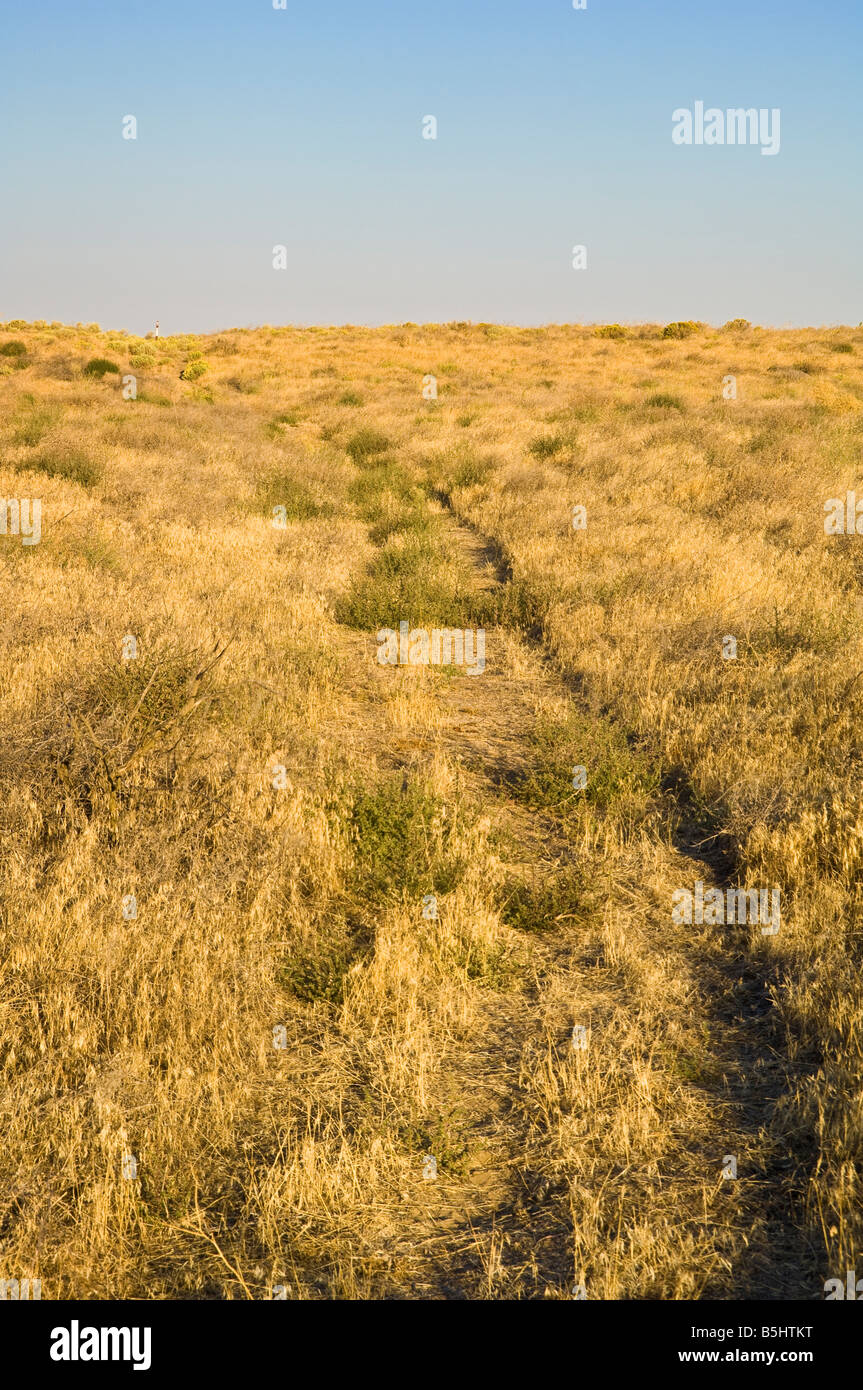 Oregon Trail wagon wheel ruts at the Echo Meadows BLM interpretive site ...