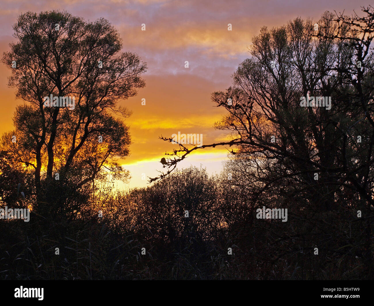 English countryside night sky hi-res stock photography and images - Alamy