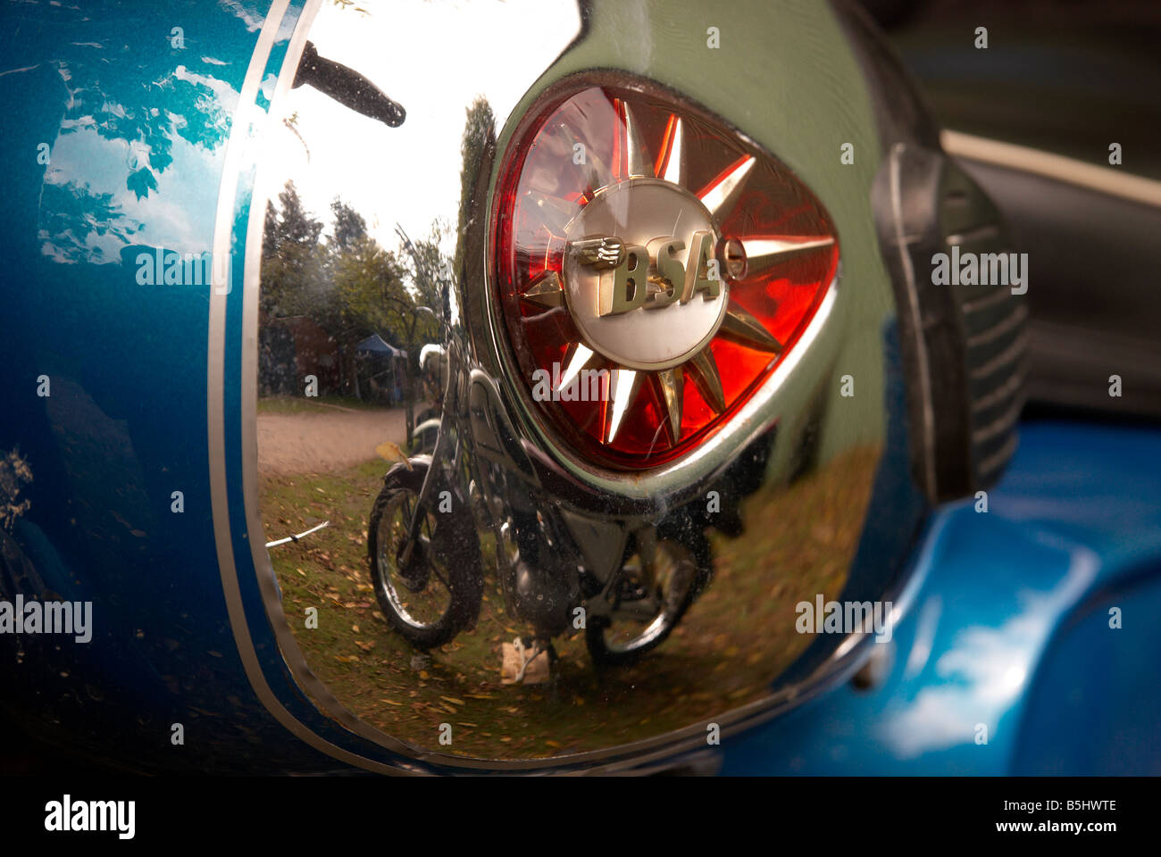 Polished petrol tank and plastic BSA badge on a classic British ...