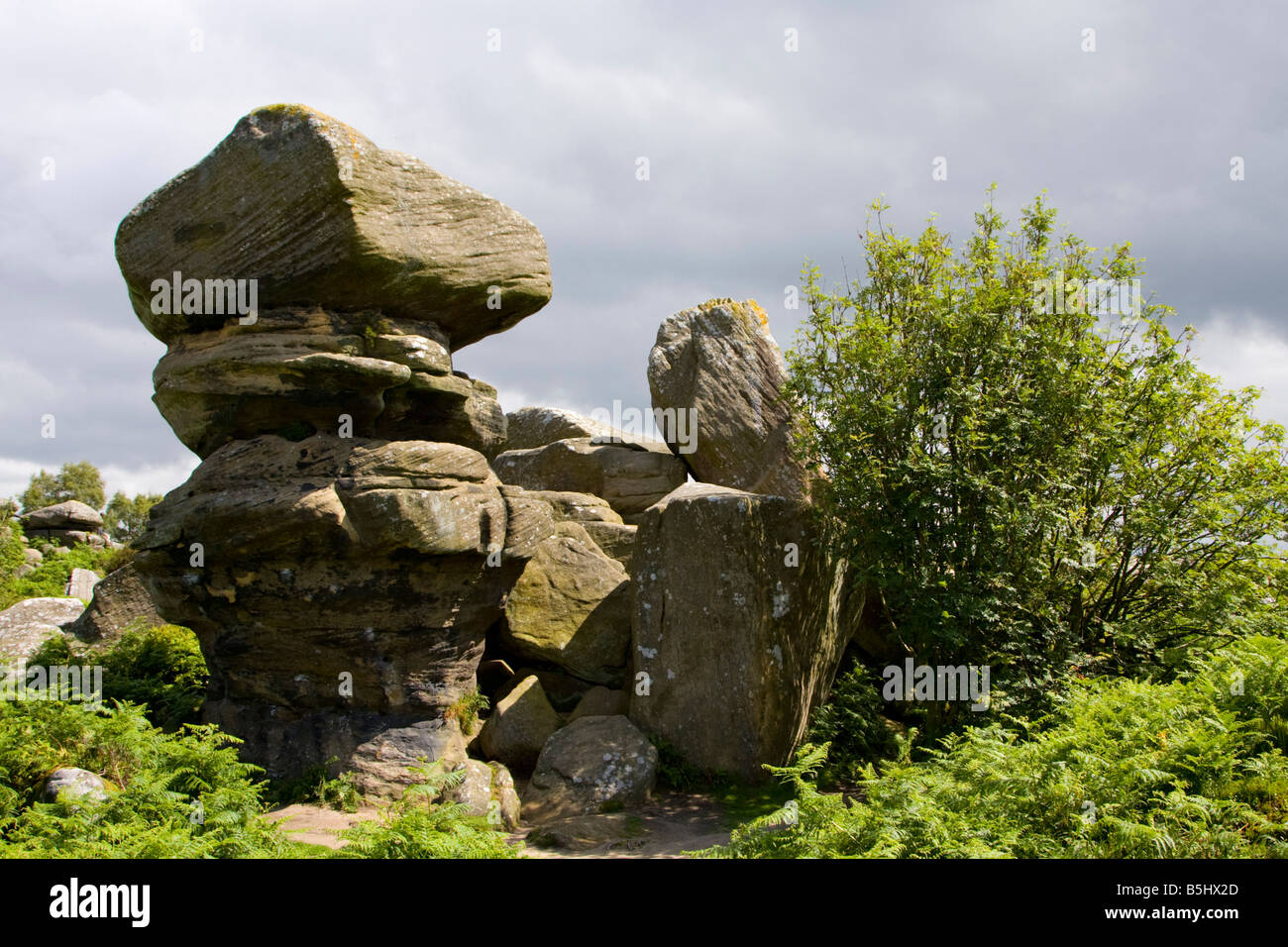 Brimham Rocks North Yorkshire UK Stock Photo - Alamy