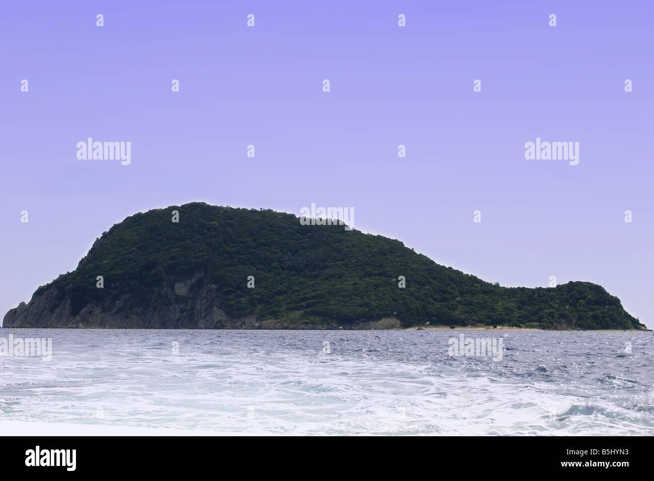 Prehistoric sea turtle hi-res stock photography and images - Alamy