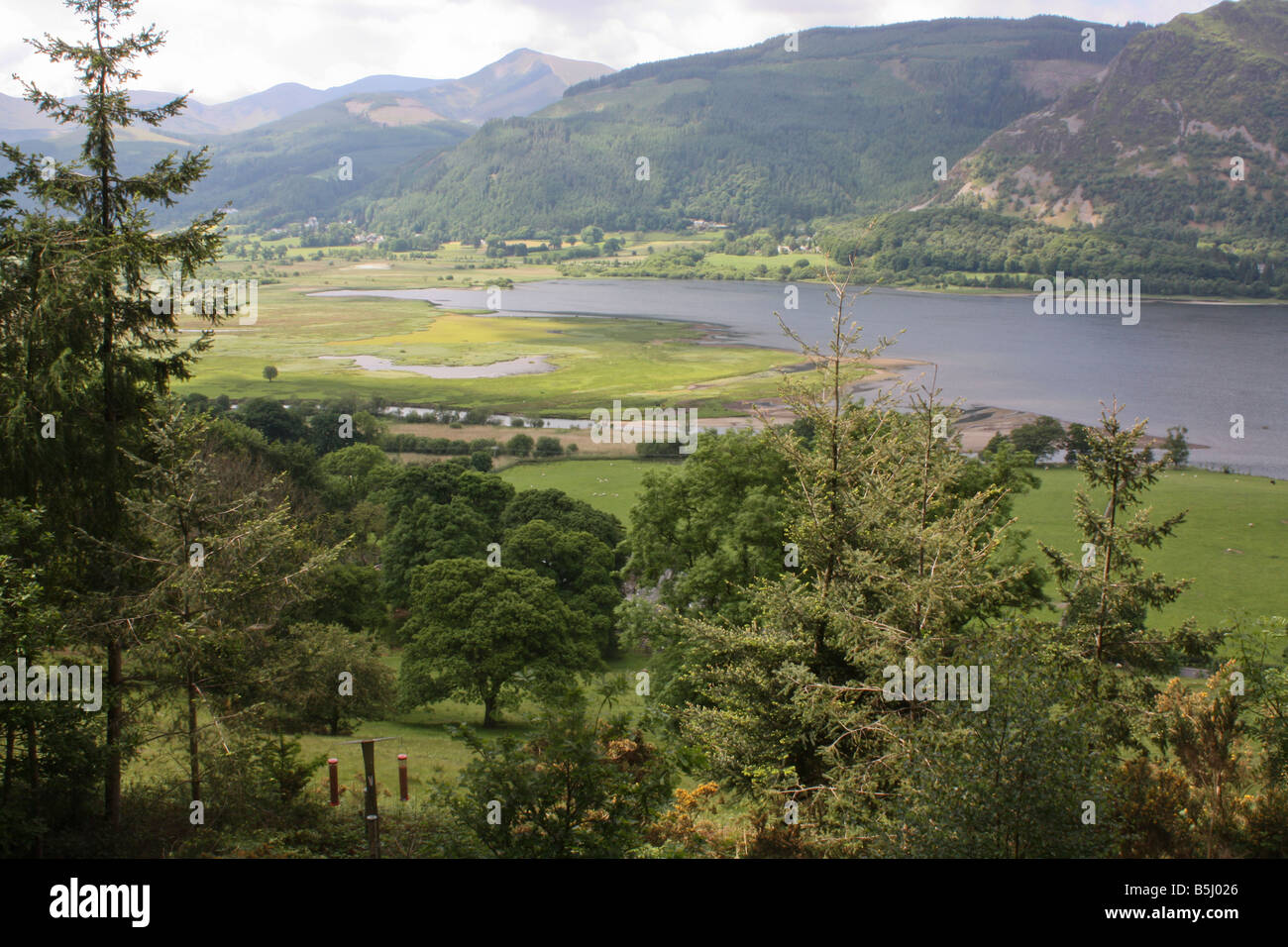 Bassenthwaite lake district hi-res stock photography and images - Alamy