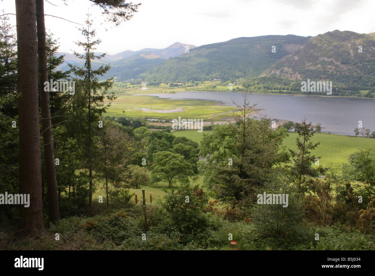 Bassenthwaite lake district hi-res stock photography and images - Alamy