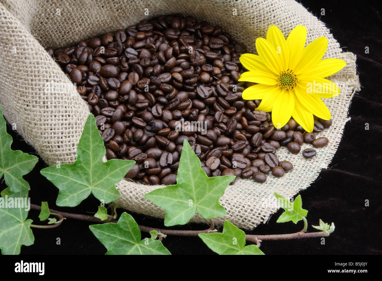 composition of toasted coffee, juta plant and flower Stock Photo - Alamy