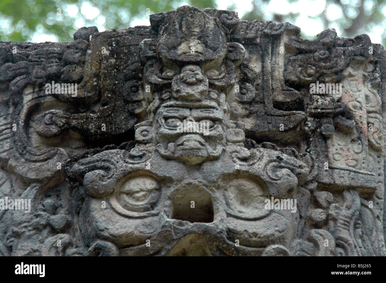 Copan ruins, Honduras, Central America Stock Photo - Alamy
