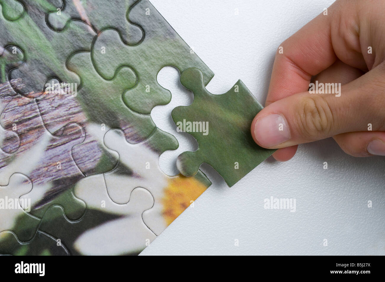 Completing a jigsaw puzzle Stock Photo - Alamy