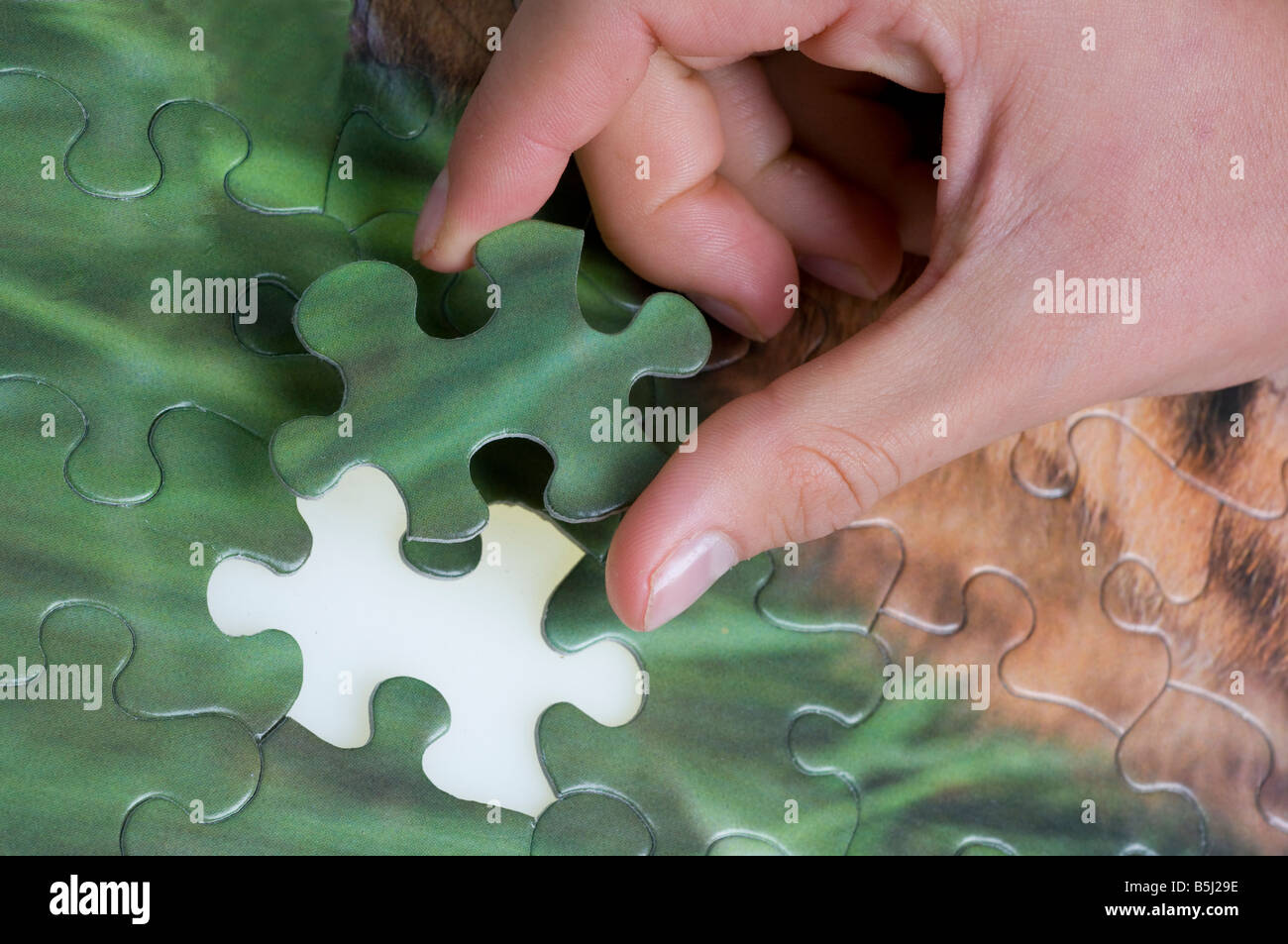 Completing A Jigsaw Puzzle Stock Photo Alamy completing-a-jigsaw-puzzle-stock-photo-alamy