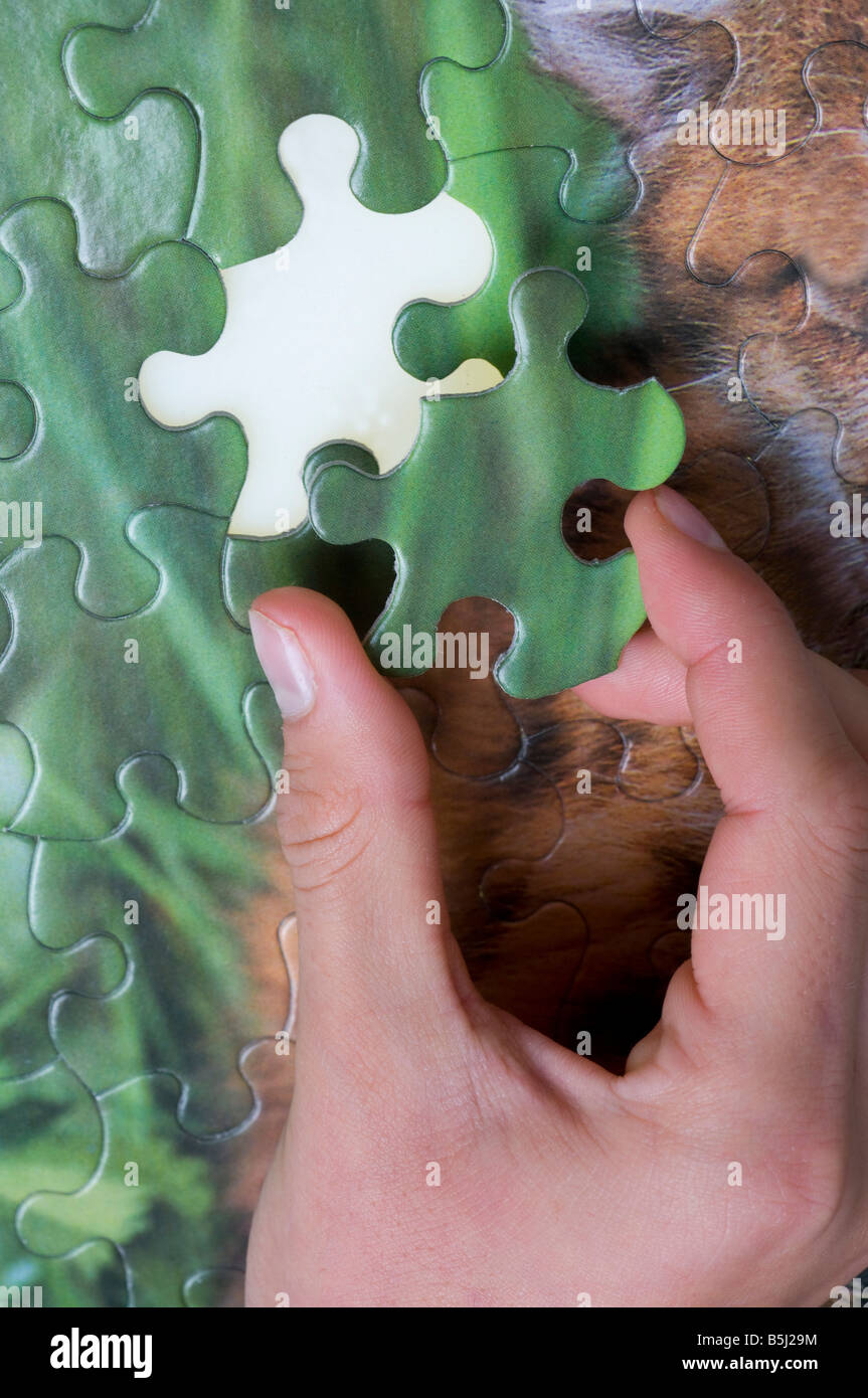 Completing a jigsaw puzzle Stock Photo - Alamy