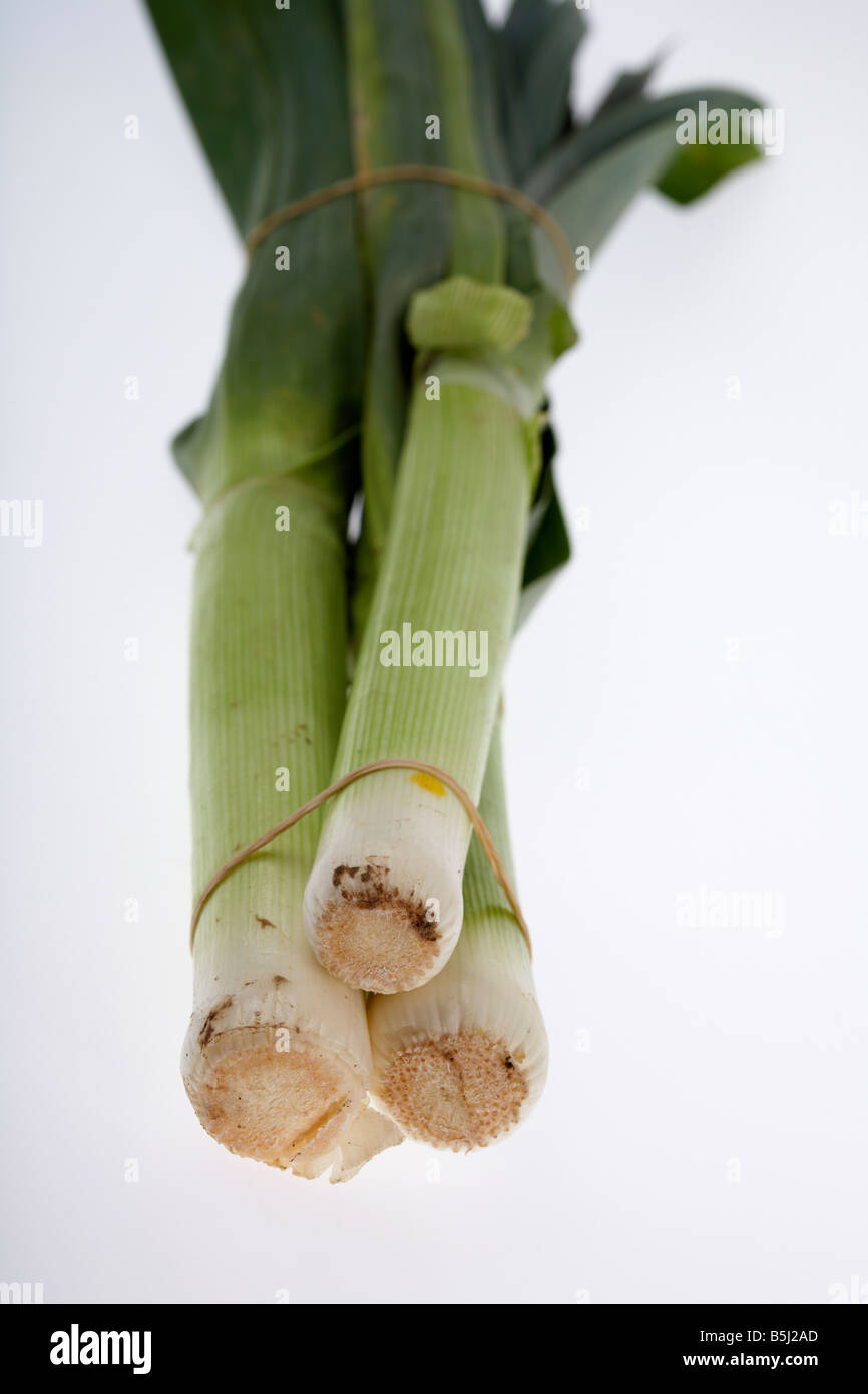 bunch of fresh organic leeks Stock Photo - Alamy
