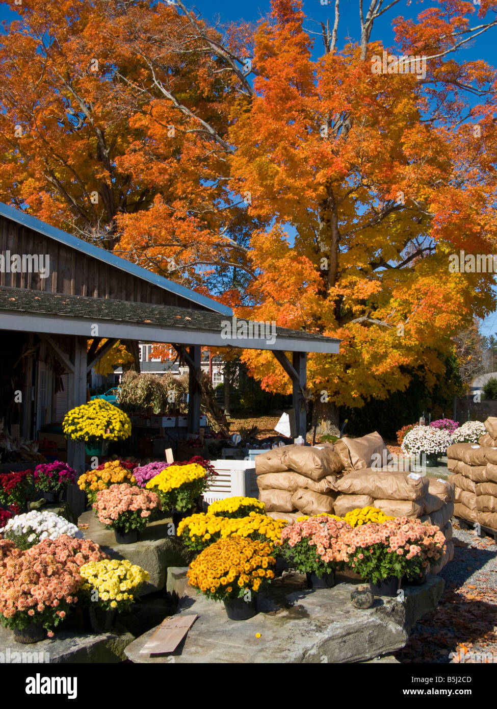 Warren Maine High Resolution Stock Photography and Images - Alamy