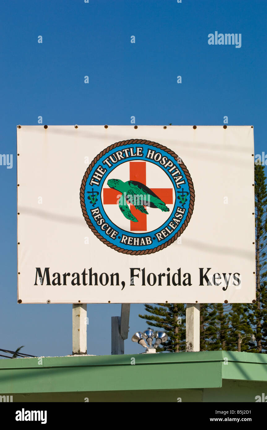 United States Of America Florida Florida Keys turtle hospital in ...