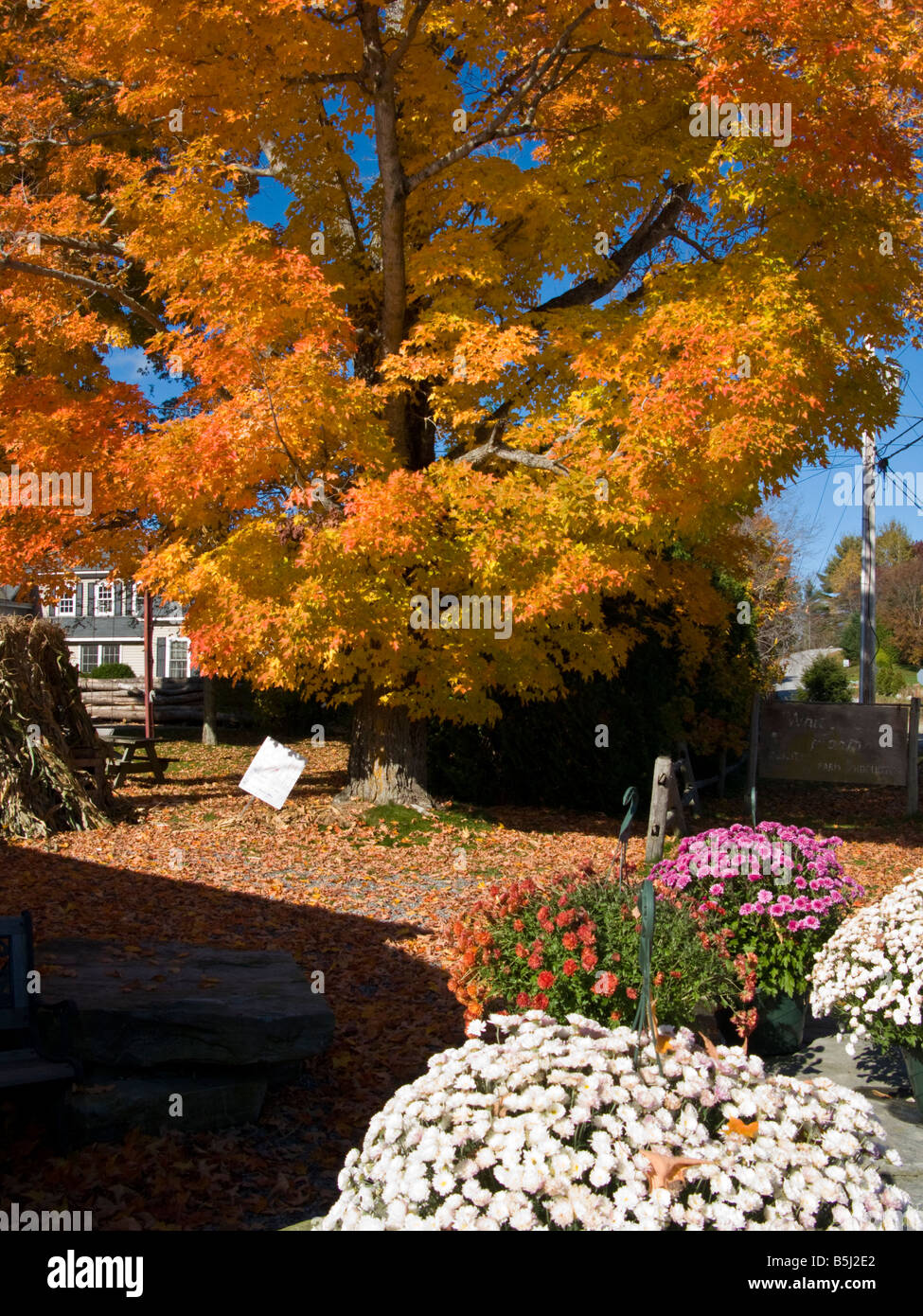 Beth s Market in Warren Maine Stock Photo - Alamy