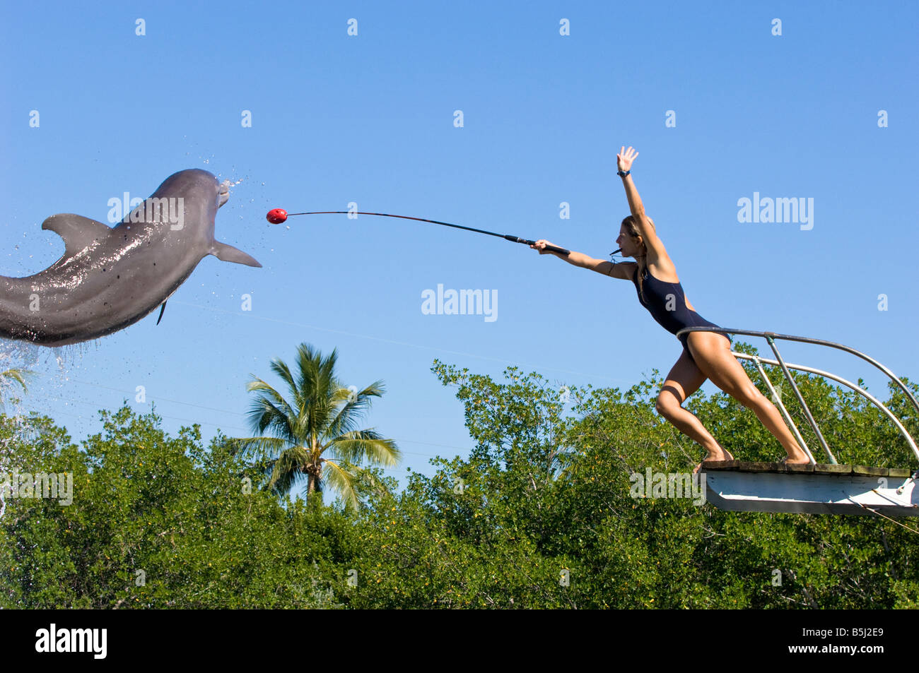 United States Of America Florida Florida Keys Islamorada Theater of The ...
