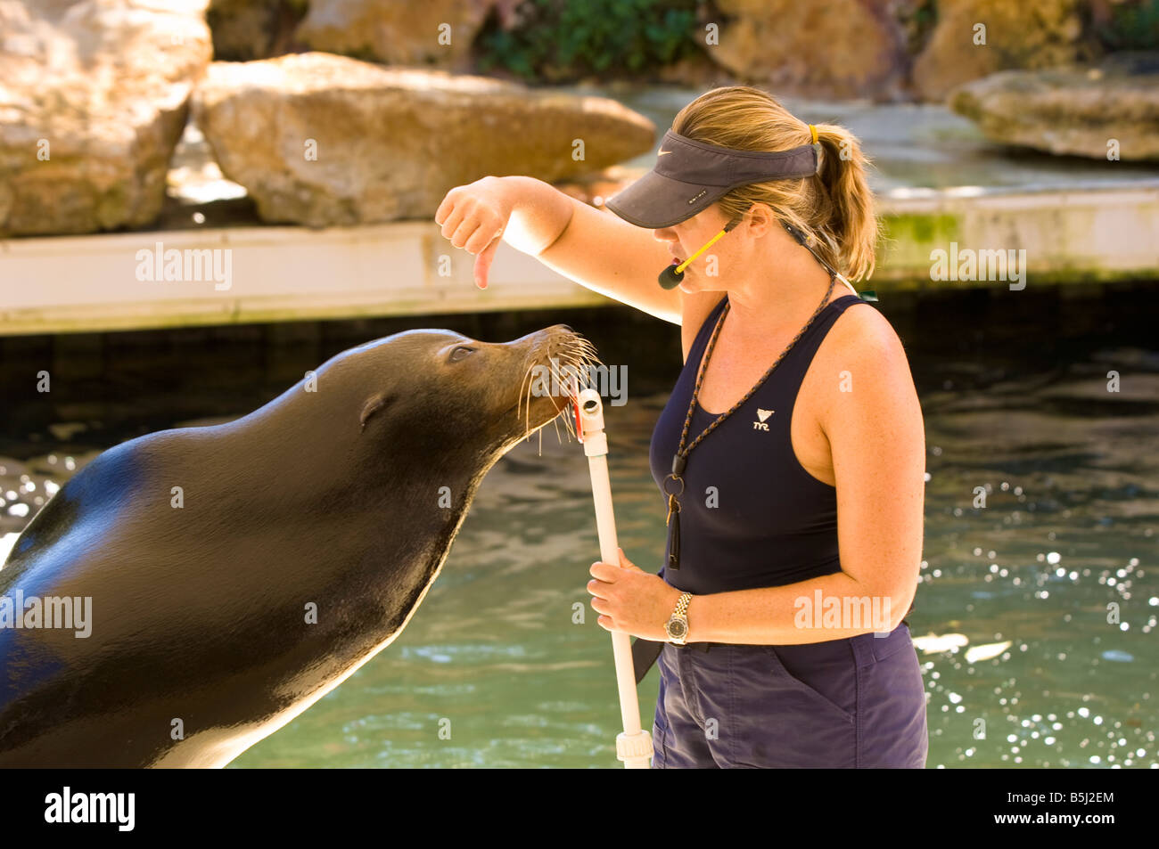 United States Of America Florida Florida Keys Islamorada Theater of The ...