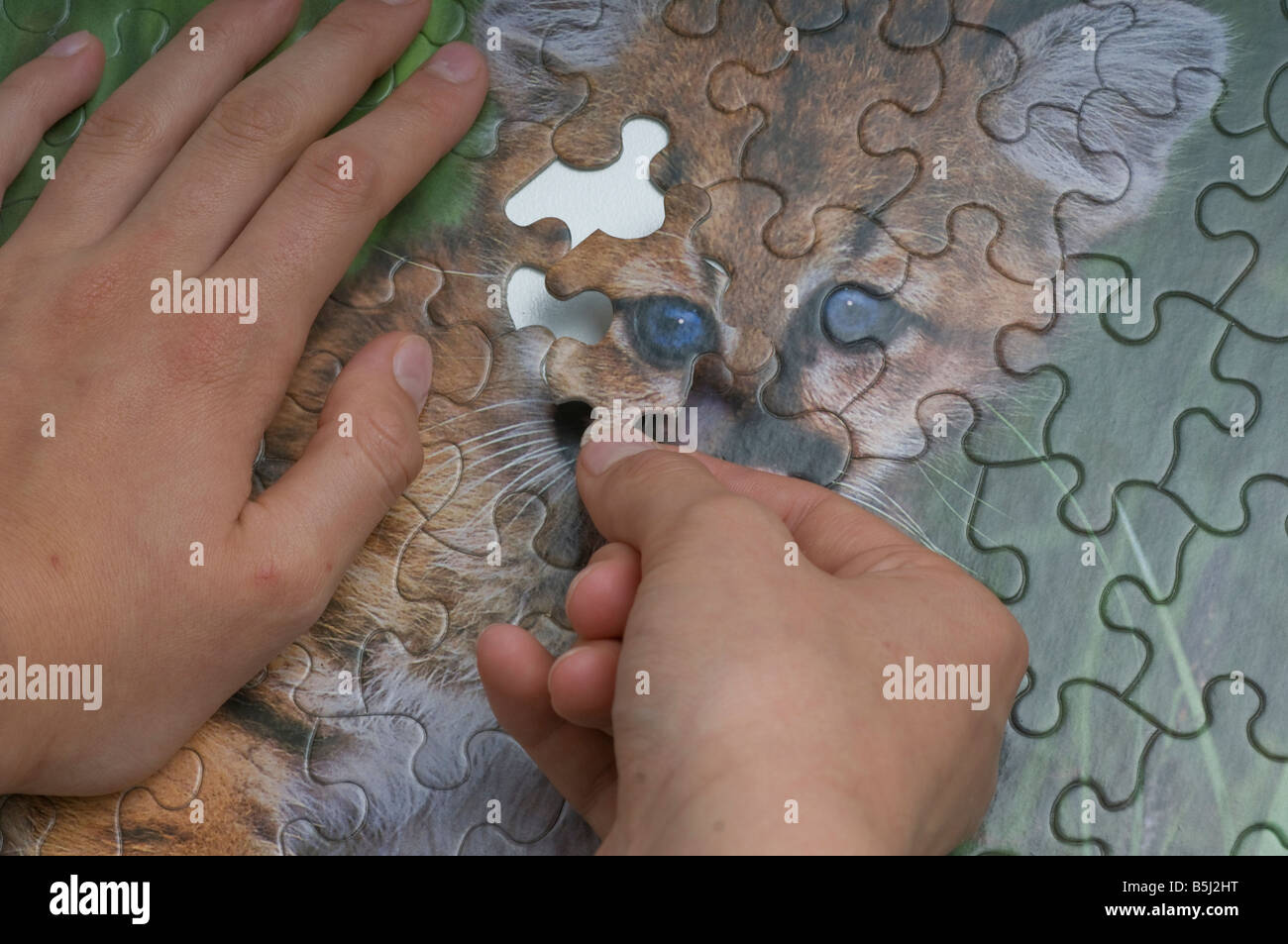 Last piece of the jigsaw puzzle Stock Photo - Alamy