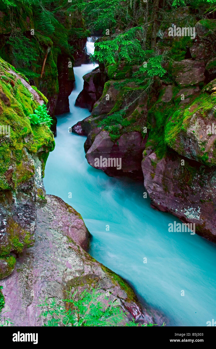 Avalanche Creek Gorge In Glacier National Park Montana USA Stock Avalanche Creek Gorge In Glacier National Park Montana USA Stock