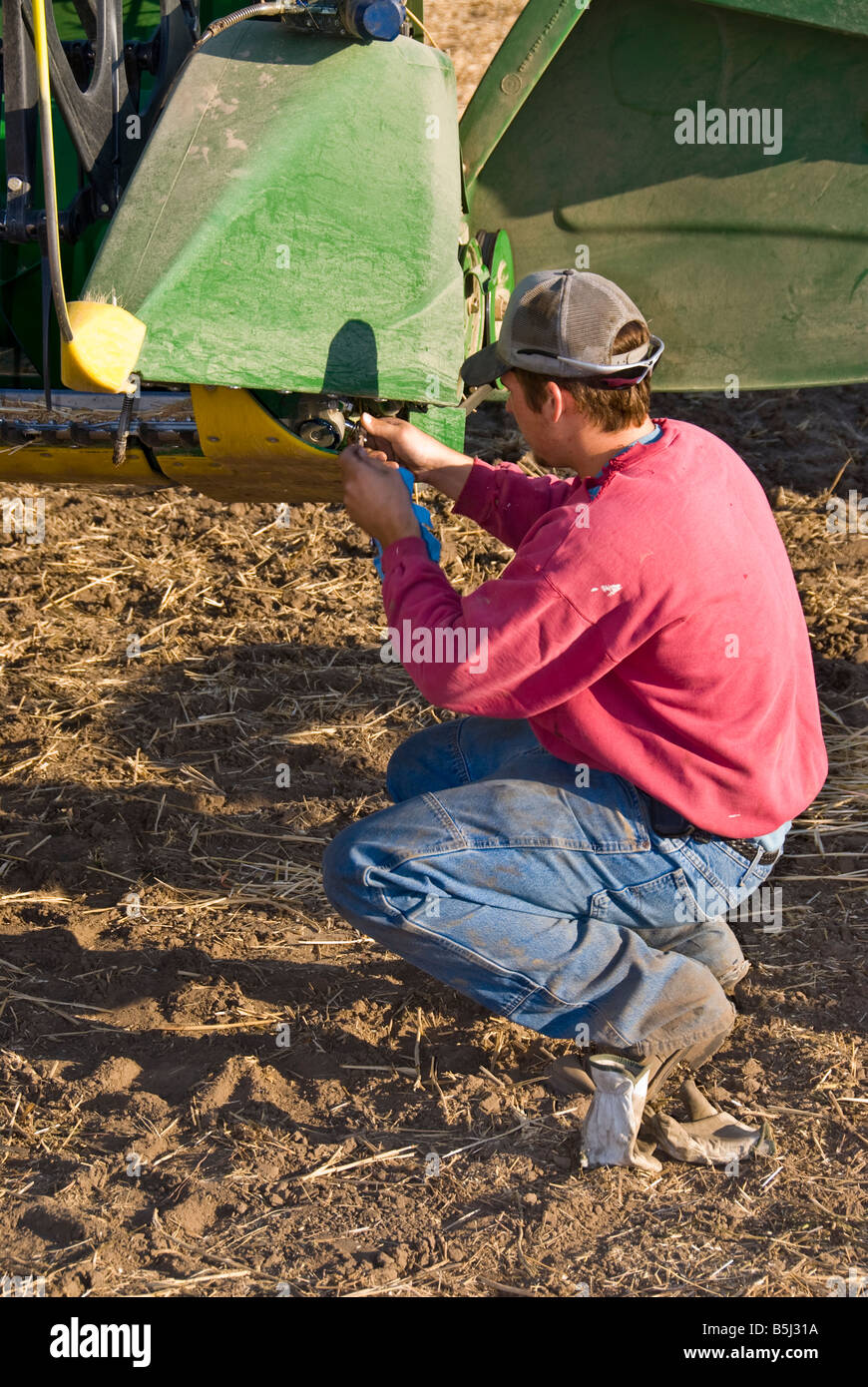 A combine operator performs maintenance on a combine header prior to ...