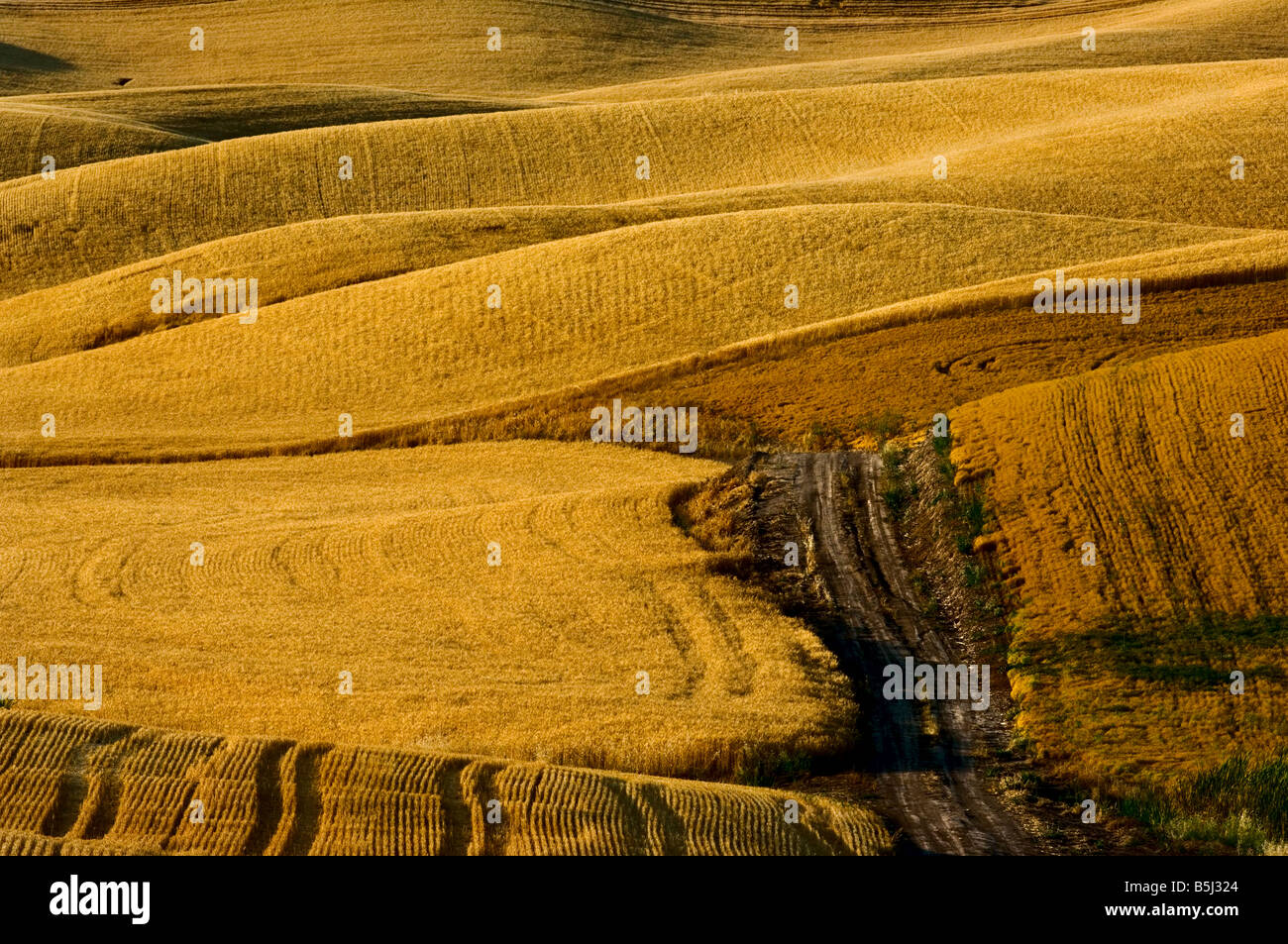 Rolling wheat fields harvested land hi-res stock photography and images ...