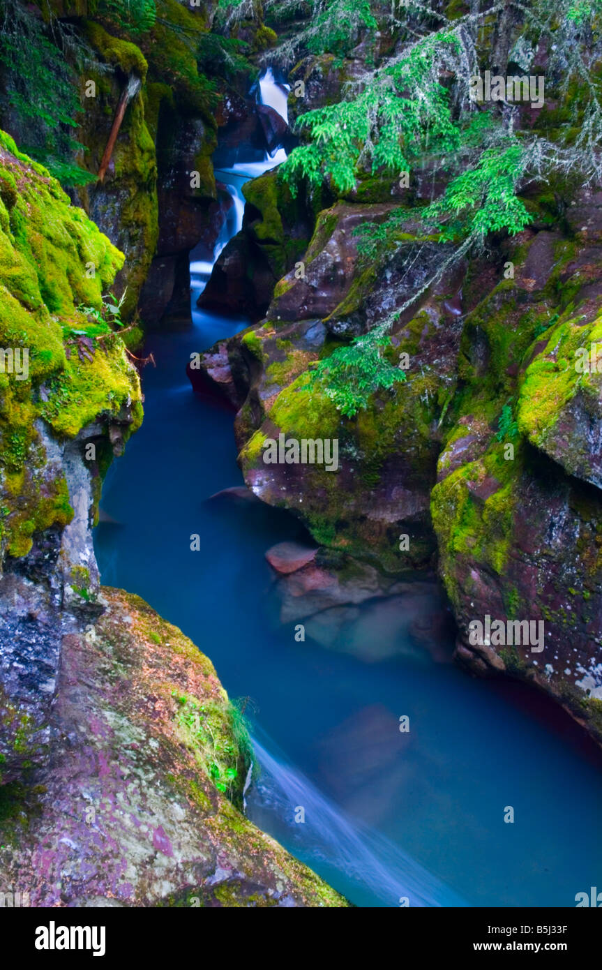 Avalanche Creek gorge in Glacier National Park, Montana, USA Stock ...