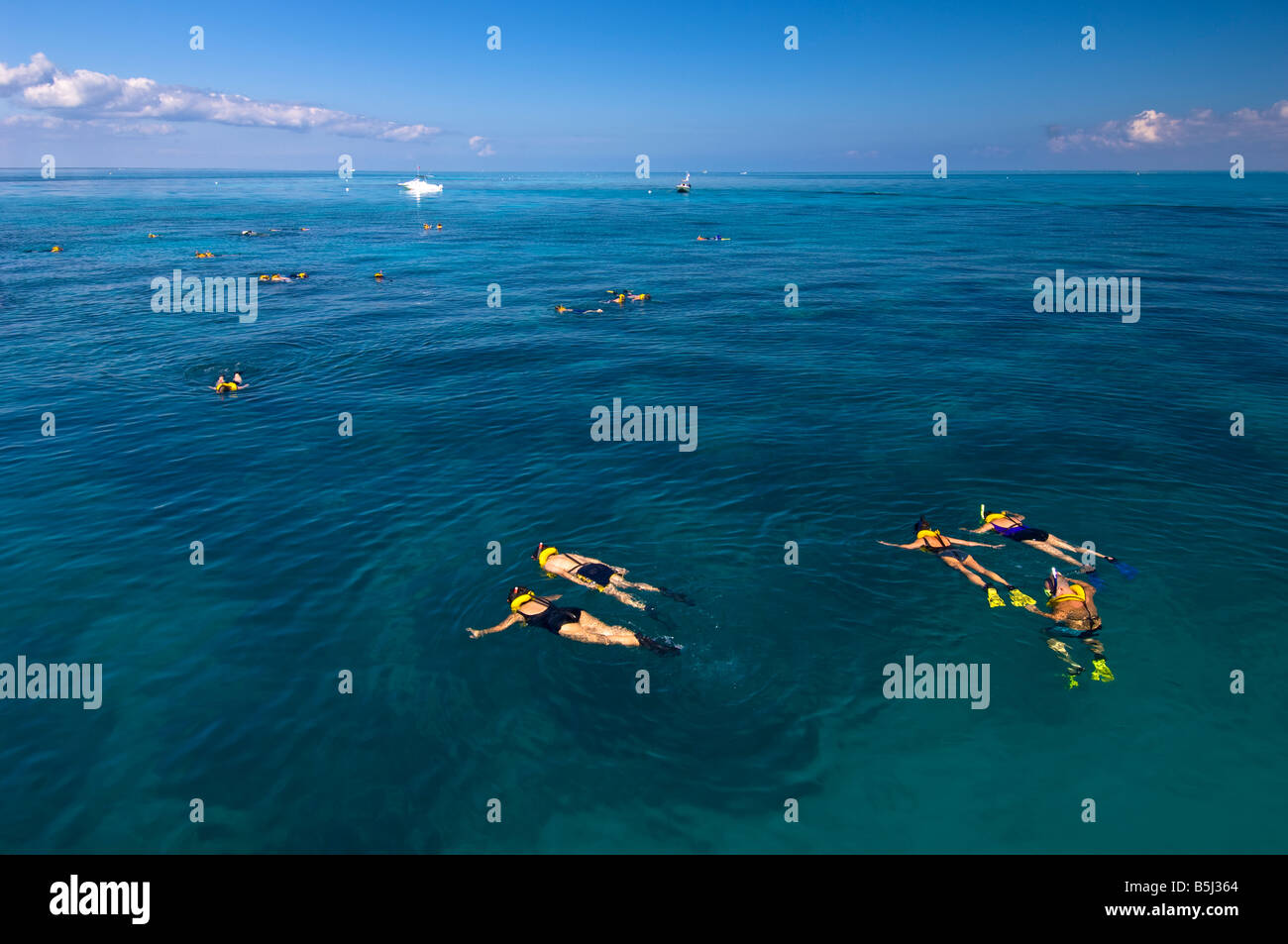United States Of America Florida Florida Keys Key Largo John Pennekamp ...