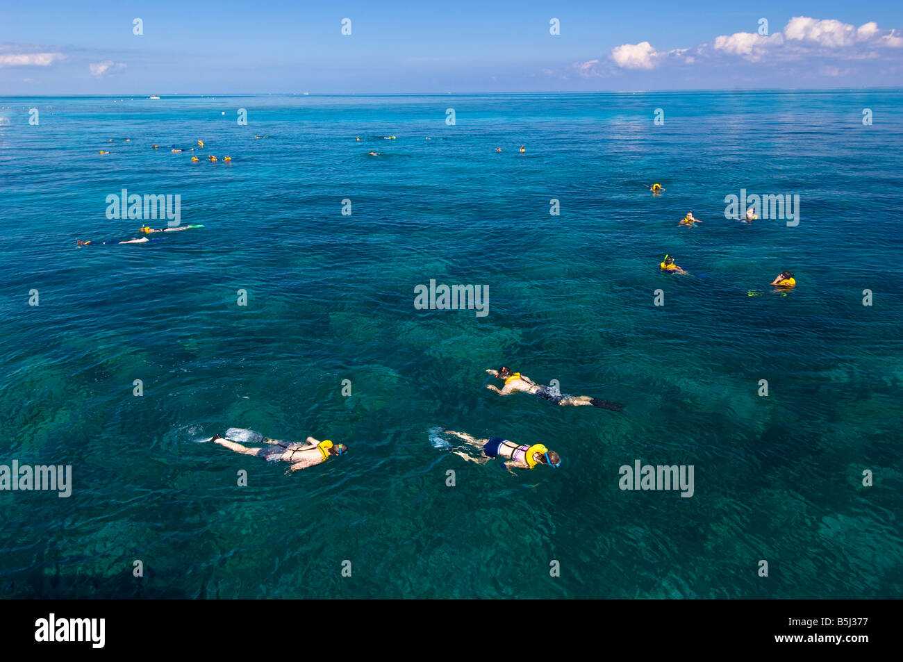 United States Of America Florida Florida Keys Key Largo John Pennekamp ...