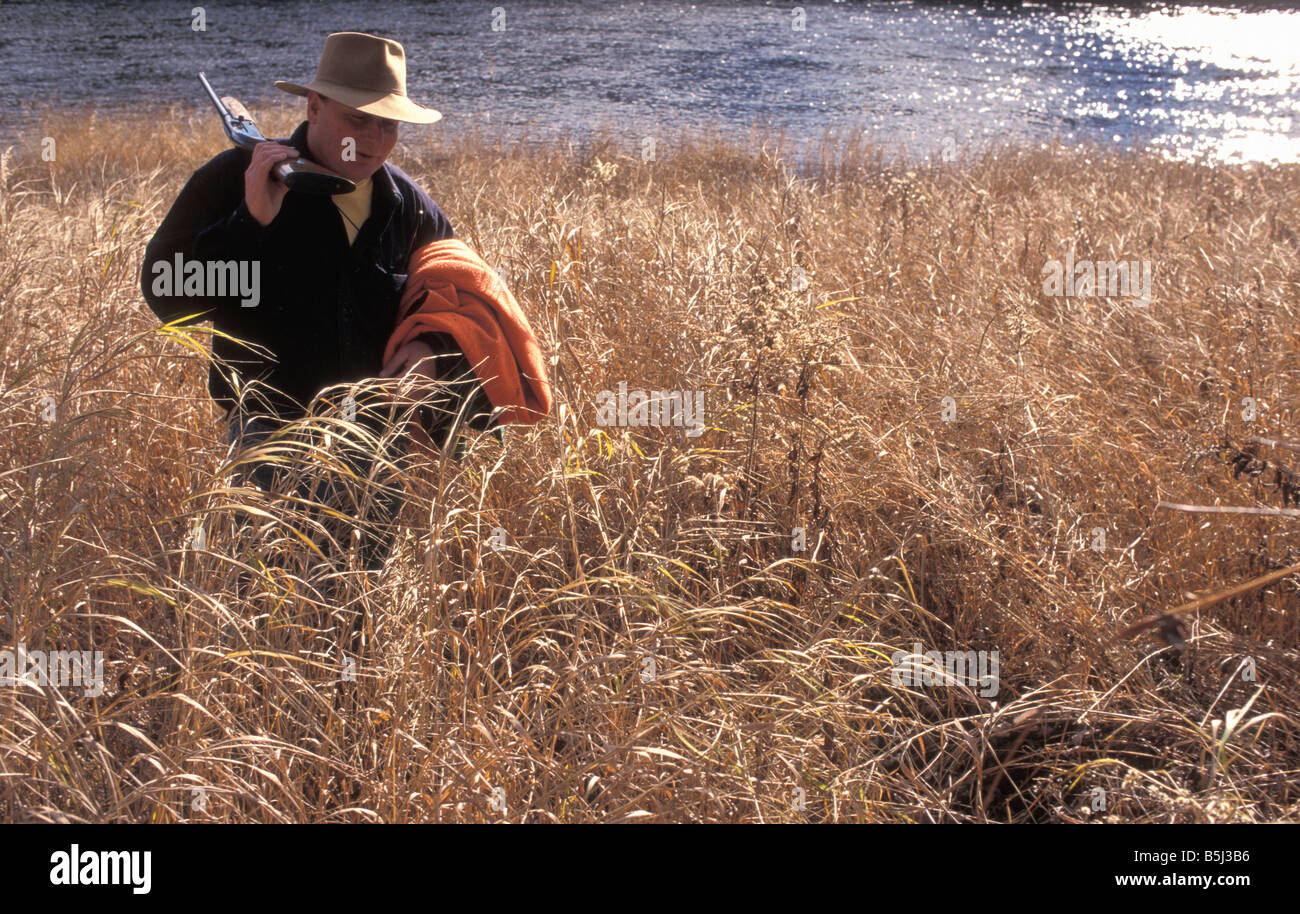 Hunting game bird hi-res stock photography and images - Alamy